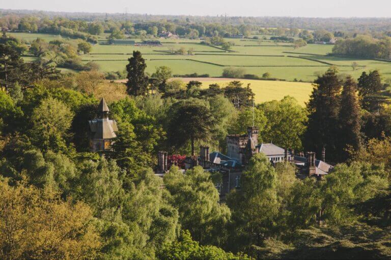 Taste of the Estate | Hampton Manor